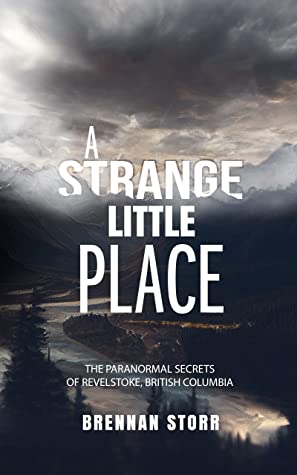 Book Review: A Strange Little Place by Brennan Storr | Steve Stred ...